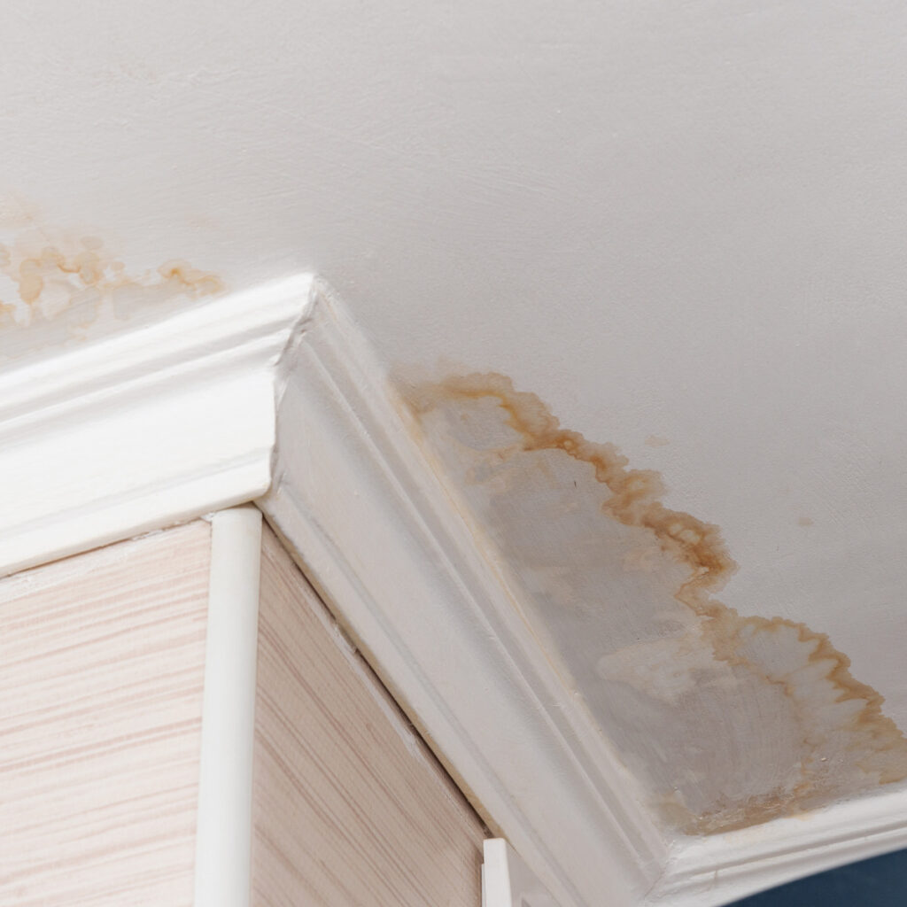 How to Tell if Water Damage is New or Old | reynoldsrestoration