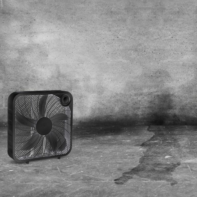 How to Fix a Damp Basement | reynoldsrestoration