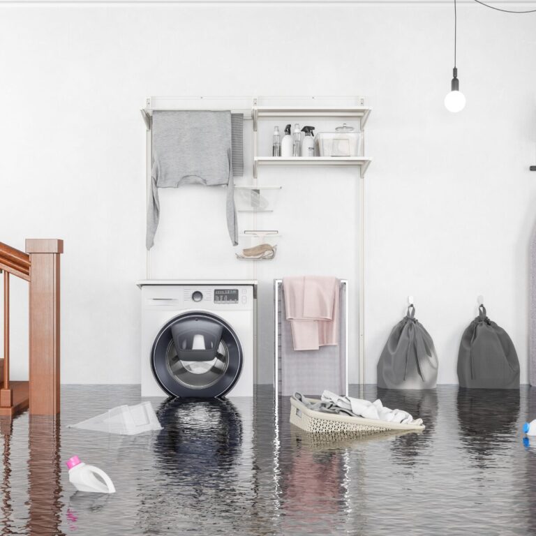 Classes and Categories of Water Damage | Reynolds Restoration